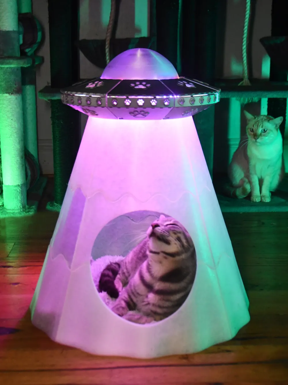 Alien Abduction LED Pet Bed by vali MakerWorld: Download Free 3D Models