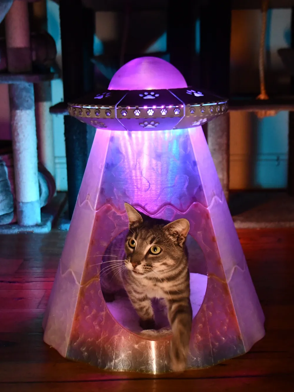Alien Abduction LED Pet Bed - Free 3D Print Model - MakerWorld