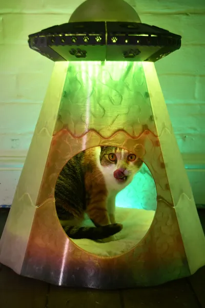 Alien Abduction LED Pet Bed - Free 3D Print Model - MakerWorld