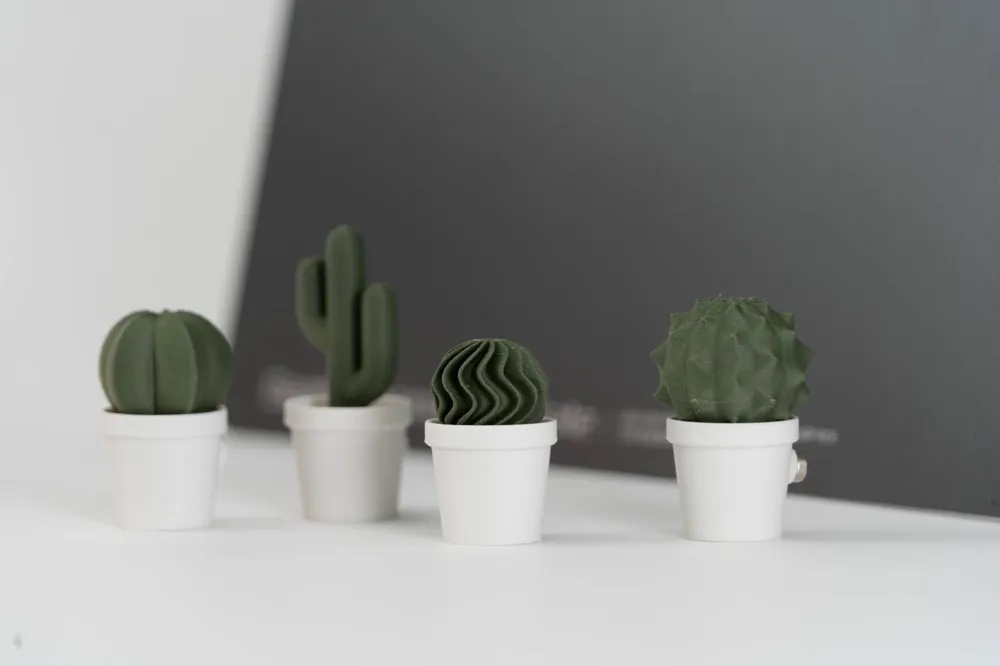 Six types of cactus magnets by 抹茶助手Tig - MakerWorld