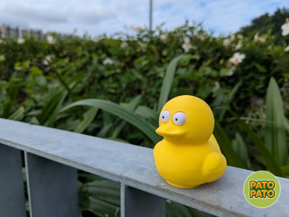 Pop-eyed duck - Free 3D Print Model - MakerWorld