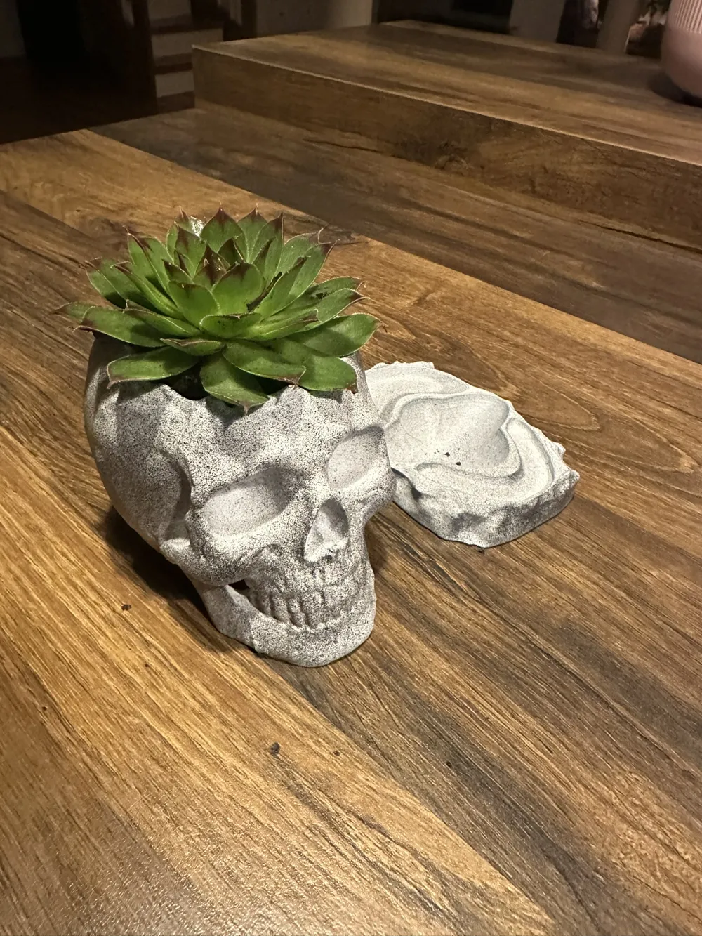 Small Skull pot with drip tray, Skull Pot - Free 3D Print Model ...