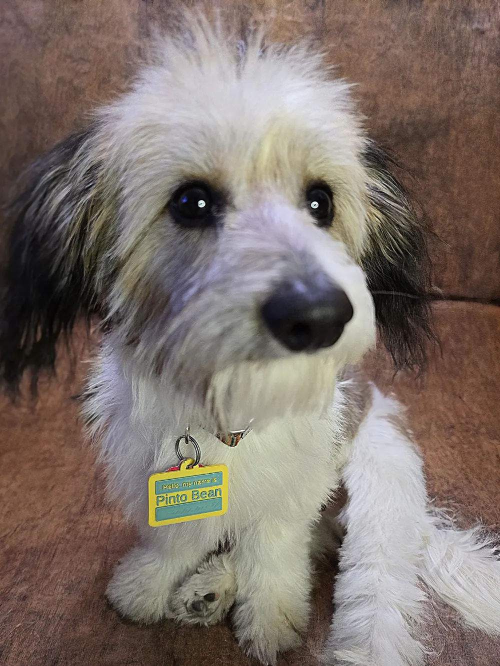 Generador de etiquetas de nombre personalizable por MartyMaker - MakerWorld