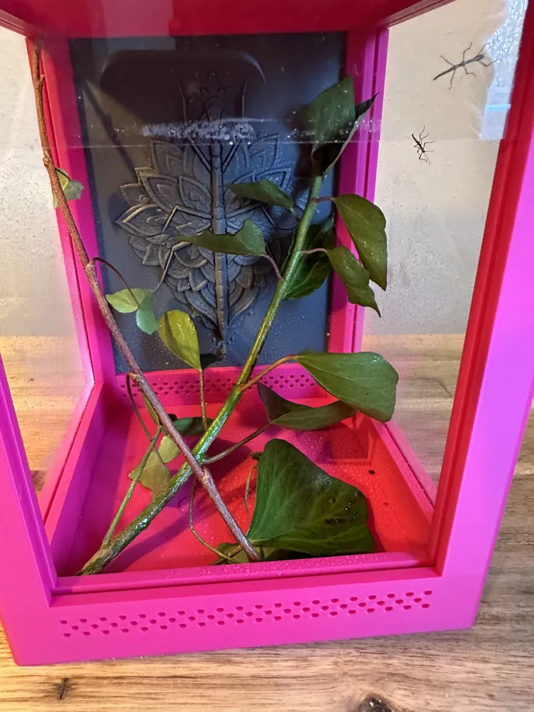 Terrarium - Free 3D Print Model - MakerWorld