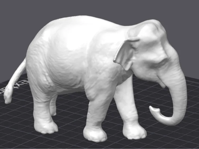 Elephant (Scan Revopoint Pop 3) by D3D - MakerWorld