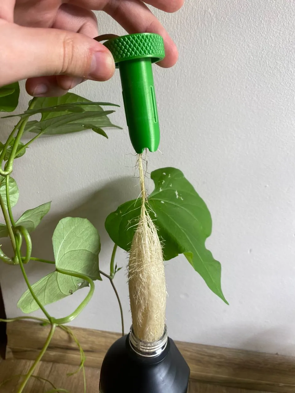Kratky Bottle Adapter for hydroponic by Maciej Rosiak MakerWorld ...
