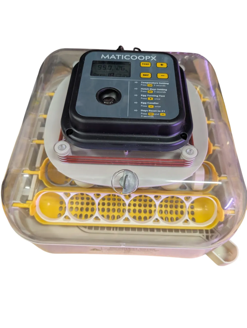 Maticoopx 30 Chicken Egg Tray - Free 3D Print Model - MakerWorld