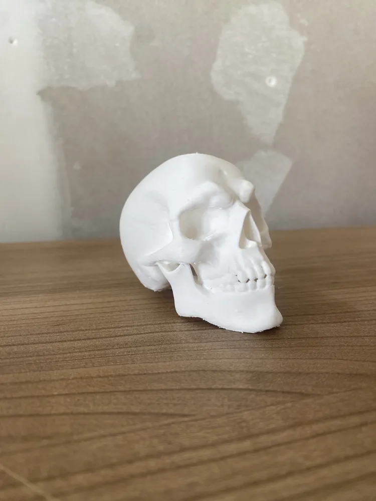 Halloween Skull by 3D_Ash MakerWorld: Download Free 3D Models