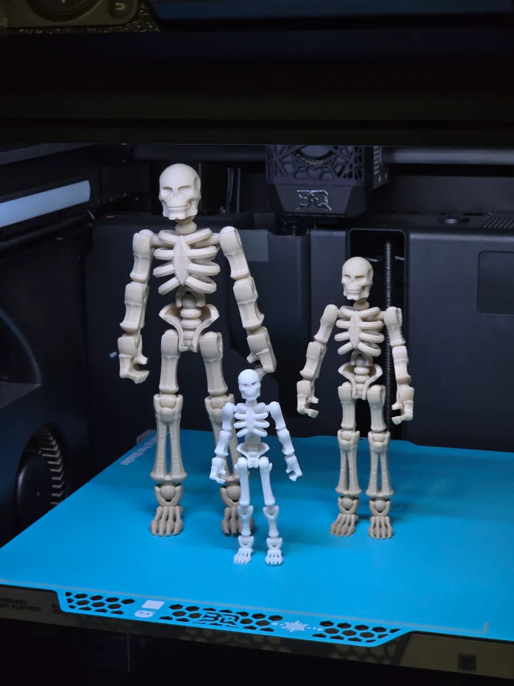 Poseable Skeleton Remixed by CV3DP MakerWorld: Download Free 3D Models