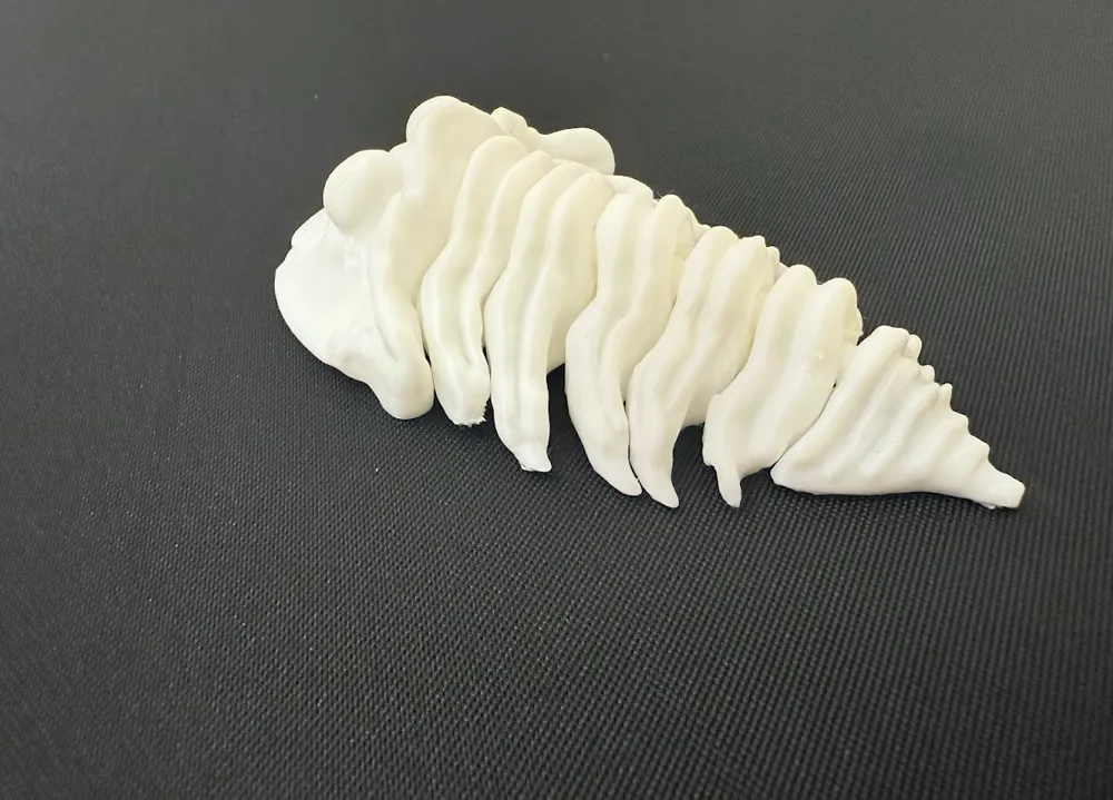 Articulated Calymene Trilobite by RM002 - MakerWorld