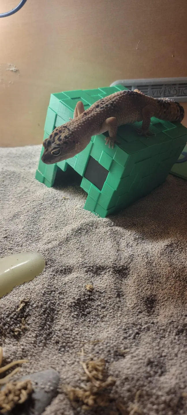 Creeper pet hide - Free 3D Print Model - MakerWorld