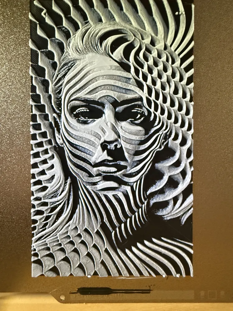 optical illusion of female face by LadyDi MakerWorld: Download Free 3D ...
