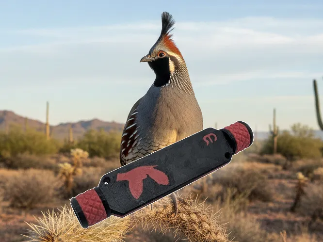 Llamada de codorniz de California y codorniz de Gambel por Malx MakerWorld: Descarga Modelos 3D ...