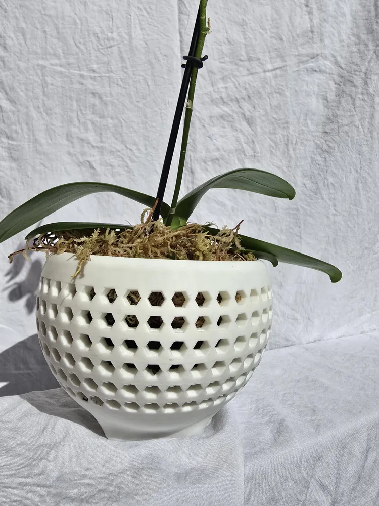 Orchid Pot - Free 3D Print Model - MakerWorld