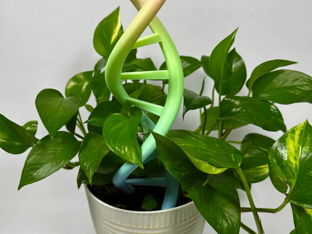 Self-Watering Modular DNA 3D Plant Trellis - Free 3D Print Model ...
