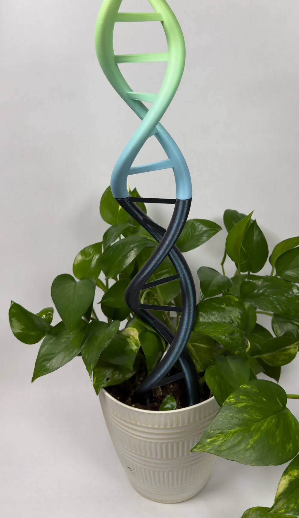 Self-Watering Modular DNA 3D Plant Trellis by mhankg MakerWorld ...