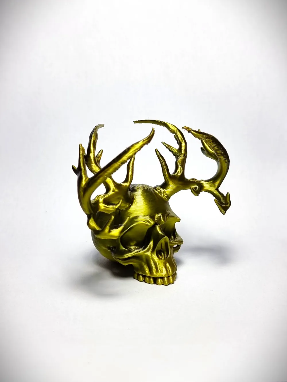 Trophy Skull by OverhangOverlordMakerWorld: Download Free 3D Models