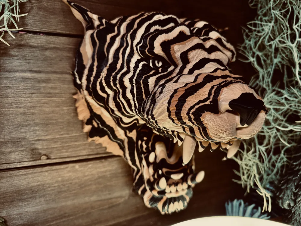 Skullwood Tiger Wall Trophy - colorstacked - Free 3D Print Model ...