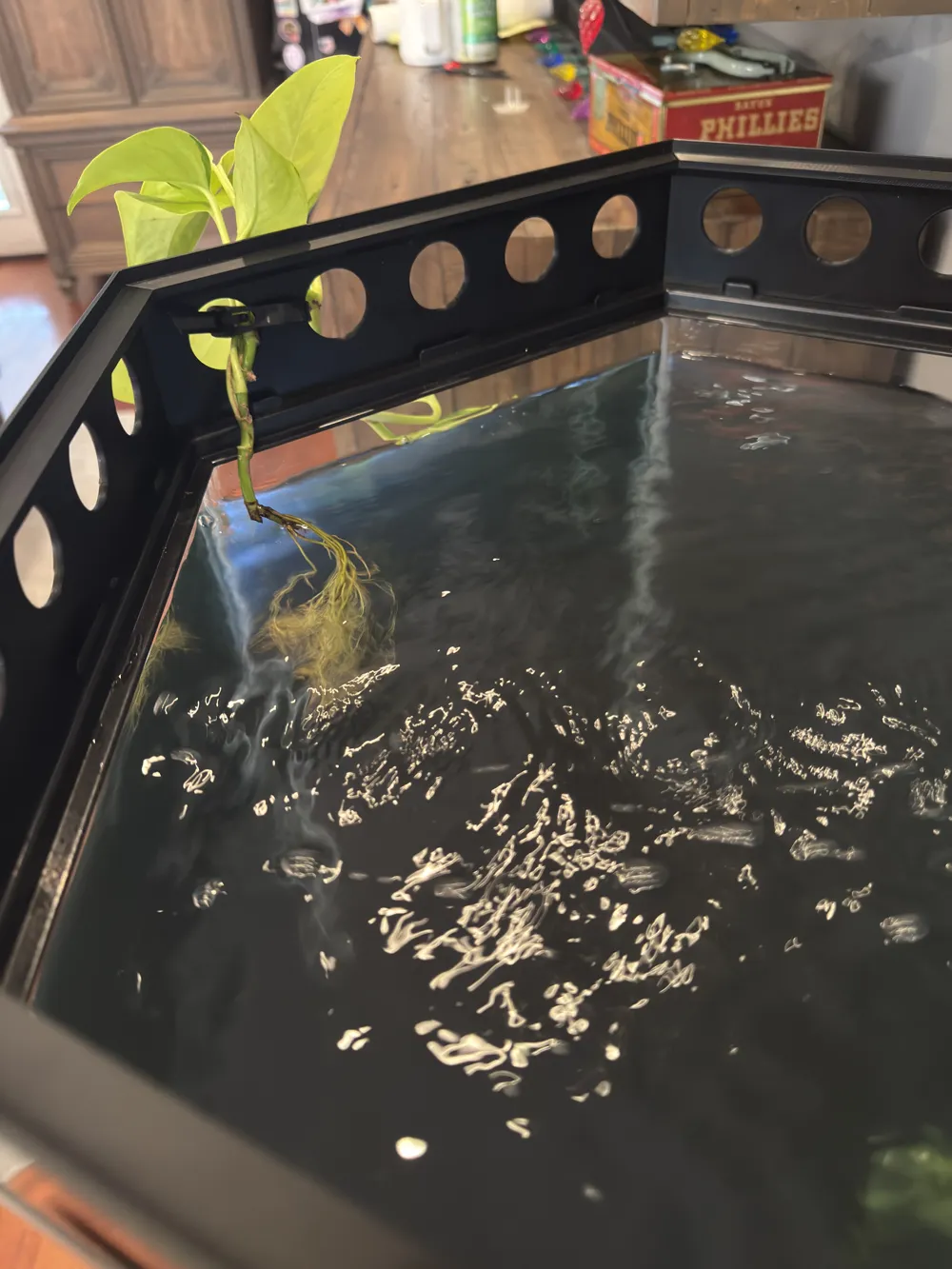 Top Fin 20 Gallon Vertical Tank Riser by Chad The Dad MakerWorld ...