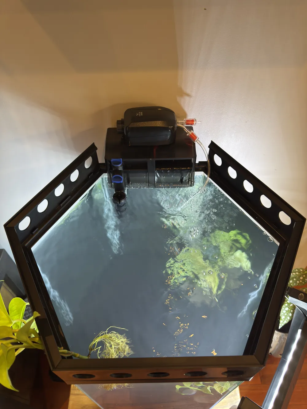 Top Fin 20 Gallon Vertical Tank Riser by Chad The Dad MakerWorld ...