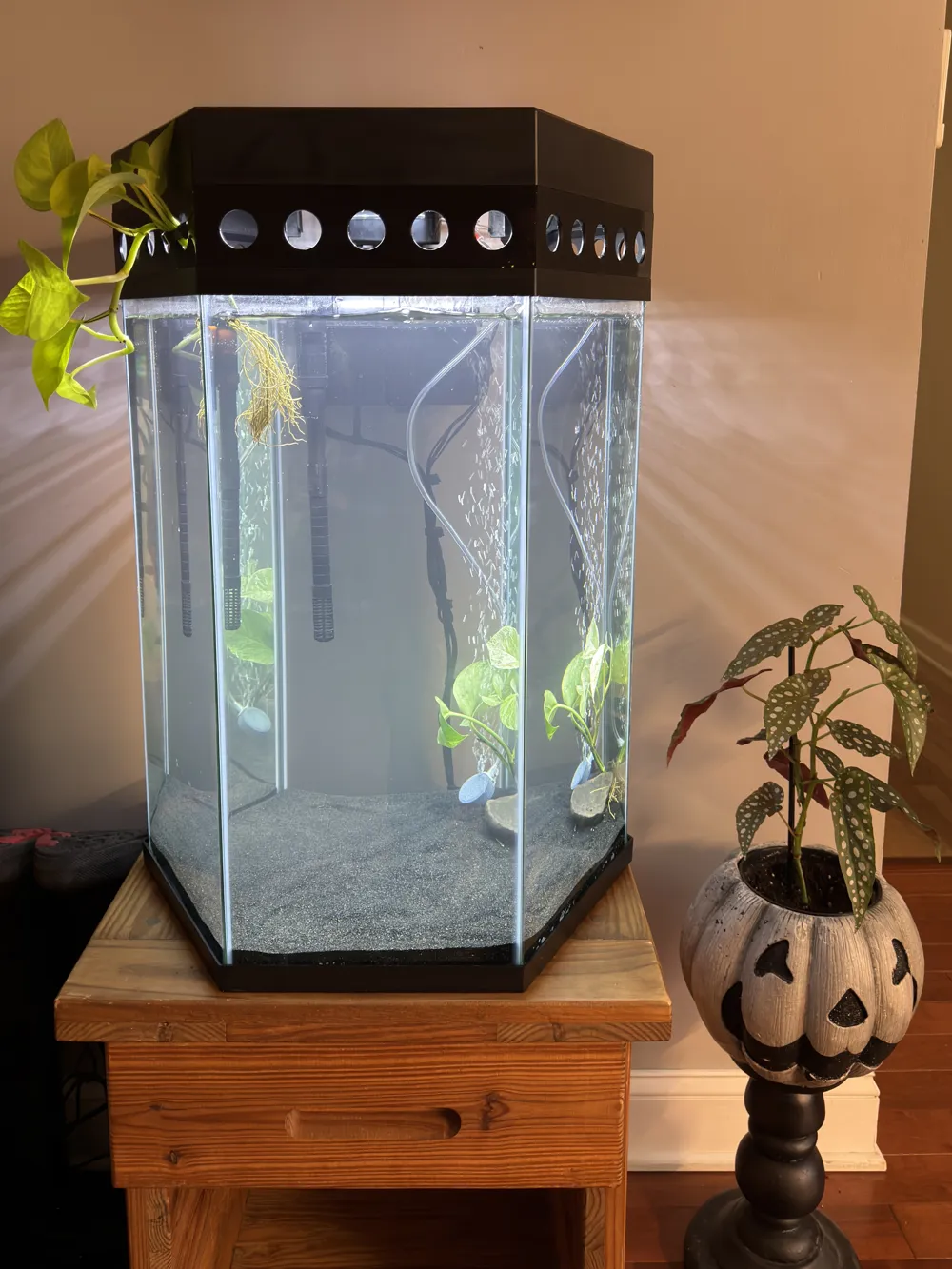 Top Fin 20 Gallon Vertical Tank Riser by Chad The Dad MakerWorld ...