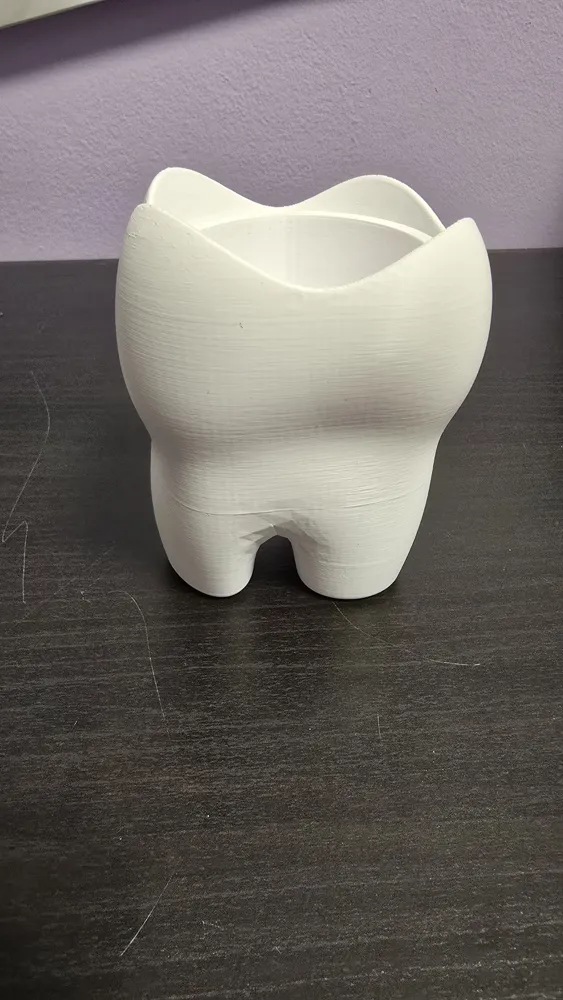Tooth Pot / Vase – A Fun Gift for a Dentist by D Workshop MakerWorld ...