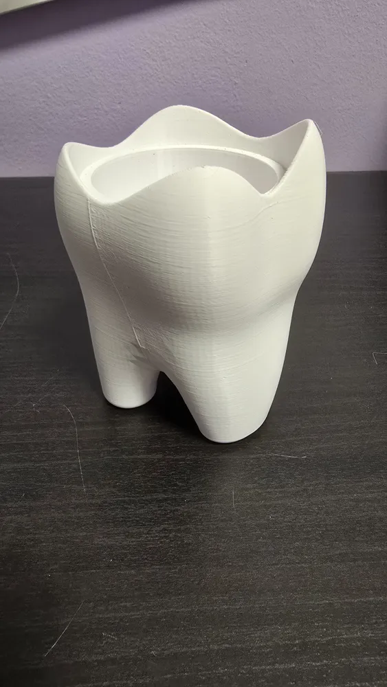 Tooth Pot / Vase – A Fun Gift for a Dentist by D Workshop MakerWorld ...
