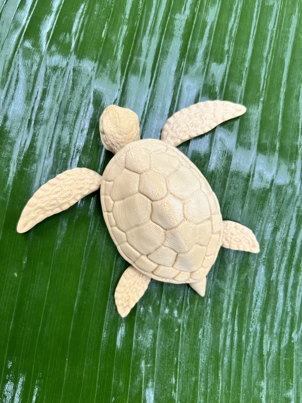 MINI MICRO TORTUGA FLEXI ARTICULADA BEBÉ por MELS 3D LABS MakerWorld ...