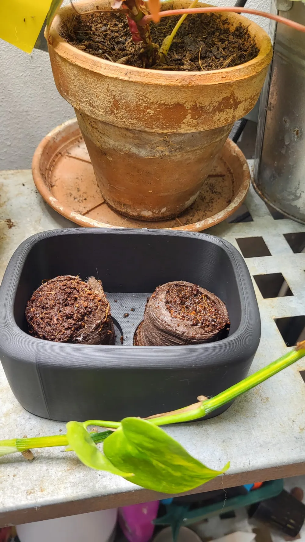 Pot for Coconut Expanding Pellets - Free 3D Print Model - MakerWorld