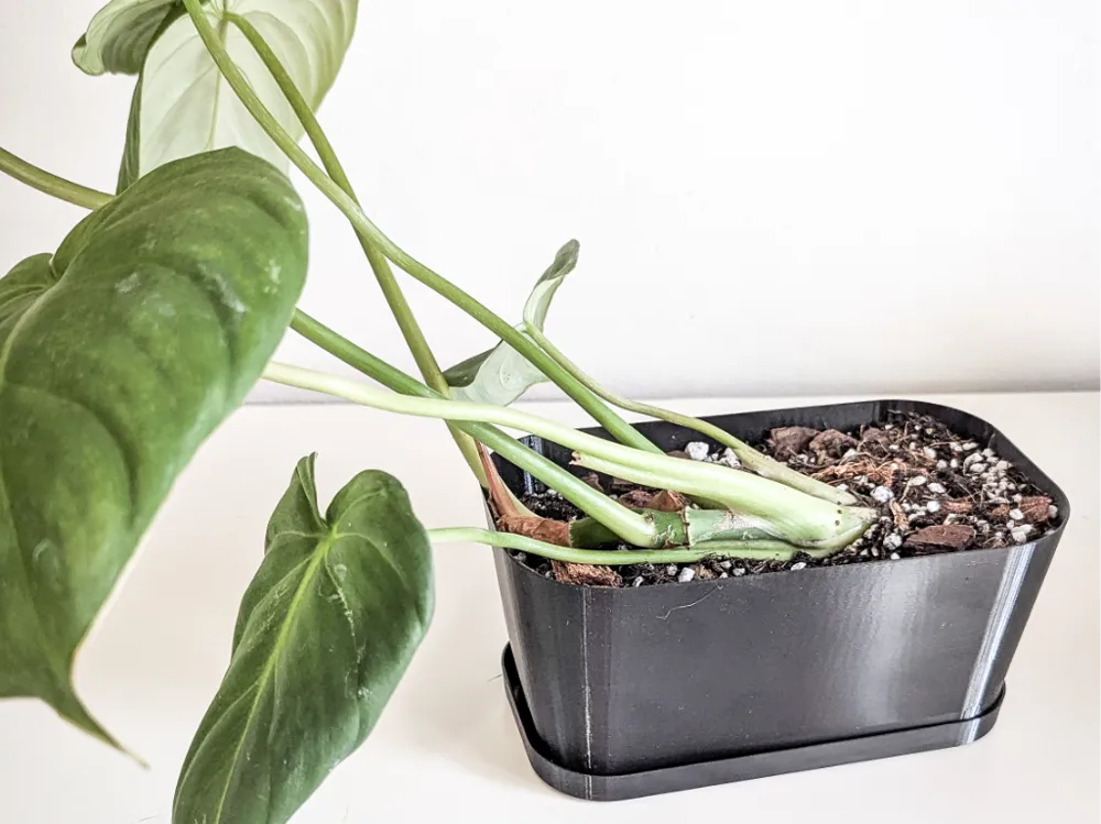 Rectangular Planter – Perfect for Crawling Plants - Free 3D Print Model ...
