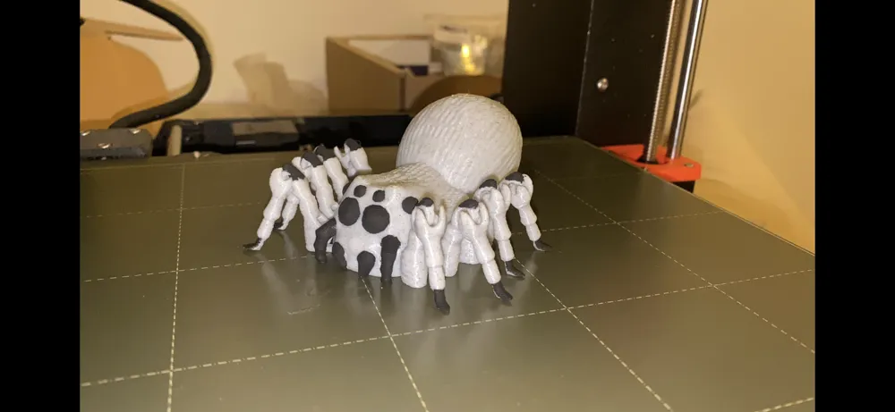 Flexi Spider by Rott3D - MakerWorld