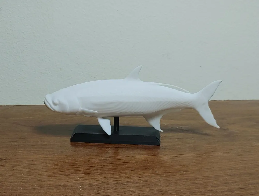 Tarpon Fish Mount by Fish Prints MakerWorld: Download Free 3D Models