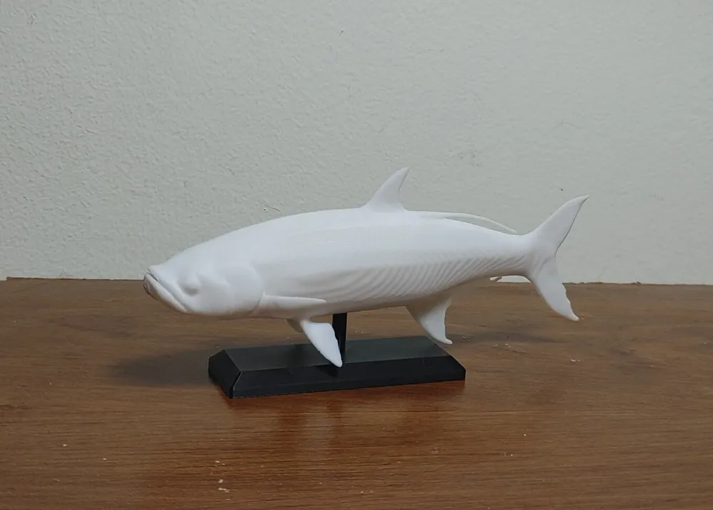 Tarpon Fish Mount - Free 3D Print Model - MakerWorld