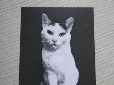 猫 来自 Maik und Sonja MakerWorld：免费下载 3D 模型