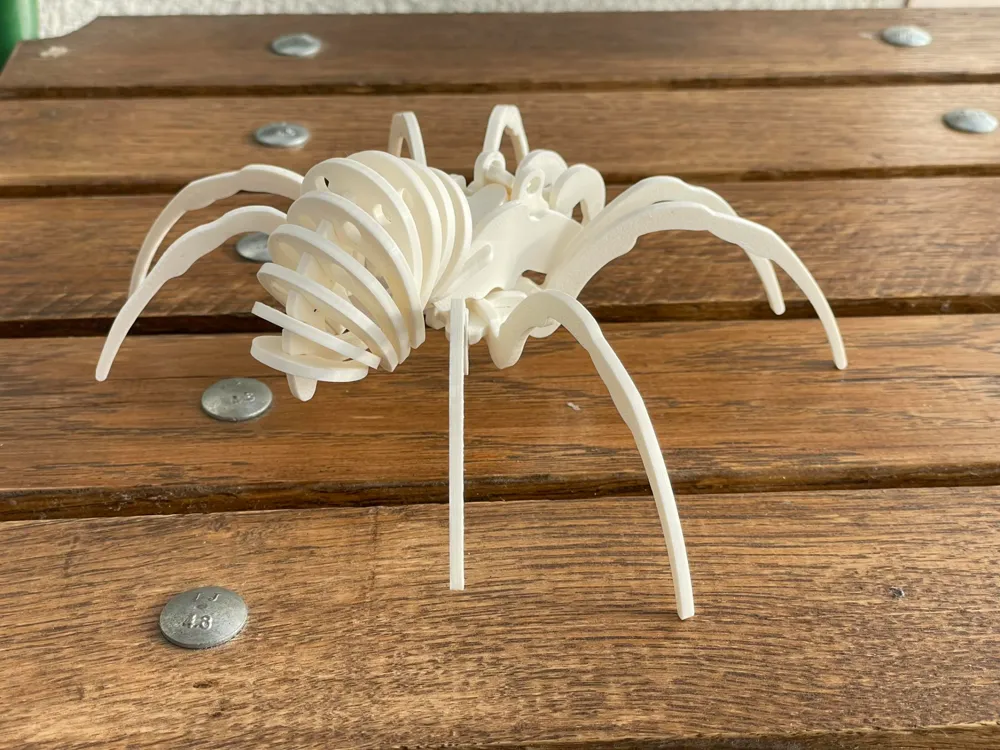 Spider 3D Puzzle by StefanKuliXYZ - MakerWorld