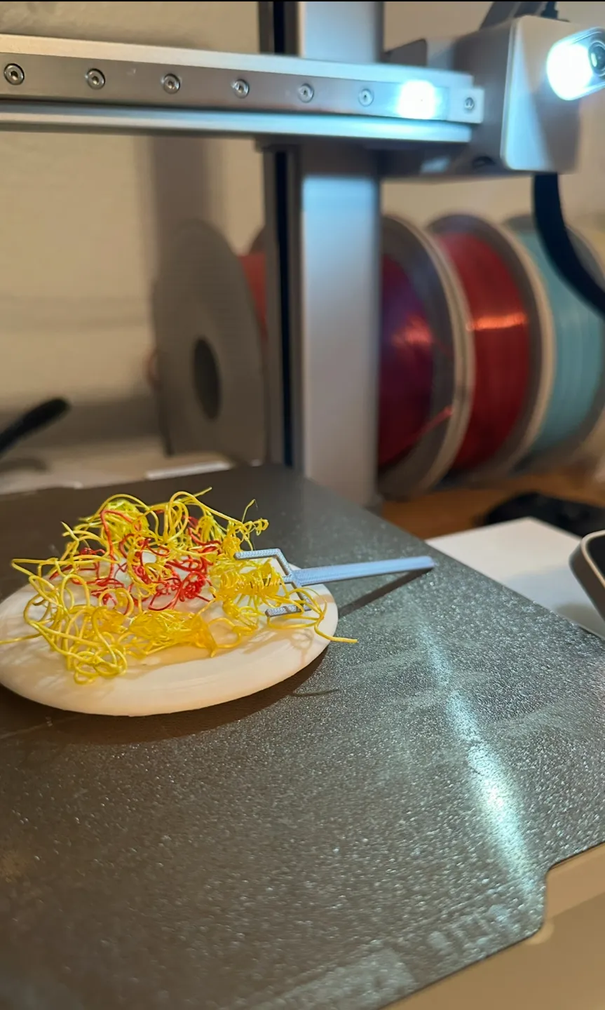 Spaghetti (failure) on a plate! by Luke Design - MakerWorld