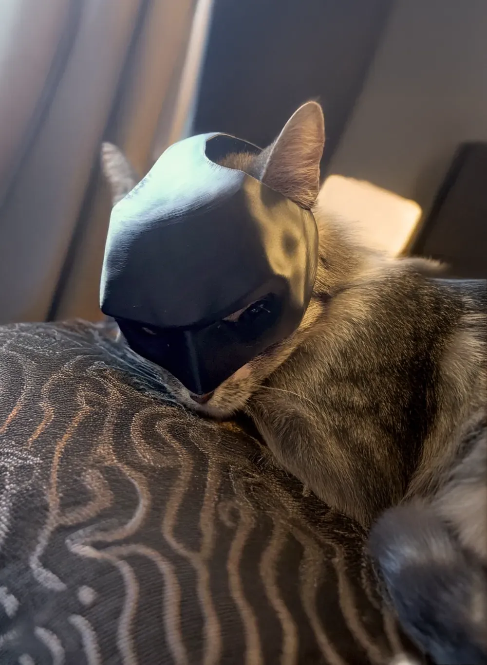 Batman Cat Mask _ BatPet Remixed by akillelauro MakerWorld: Download ...
