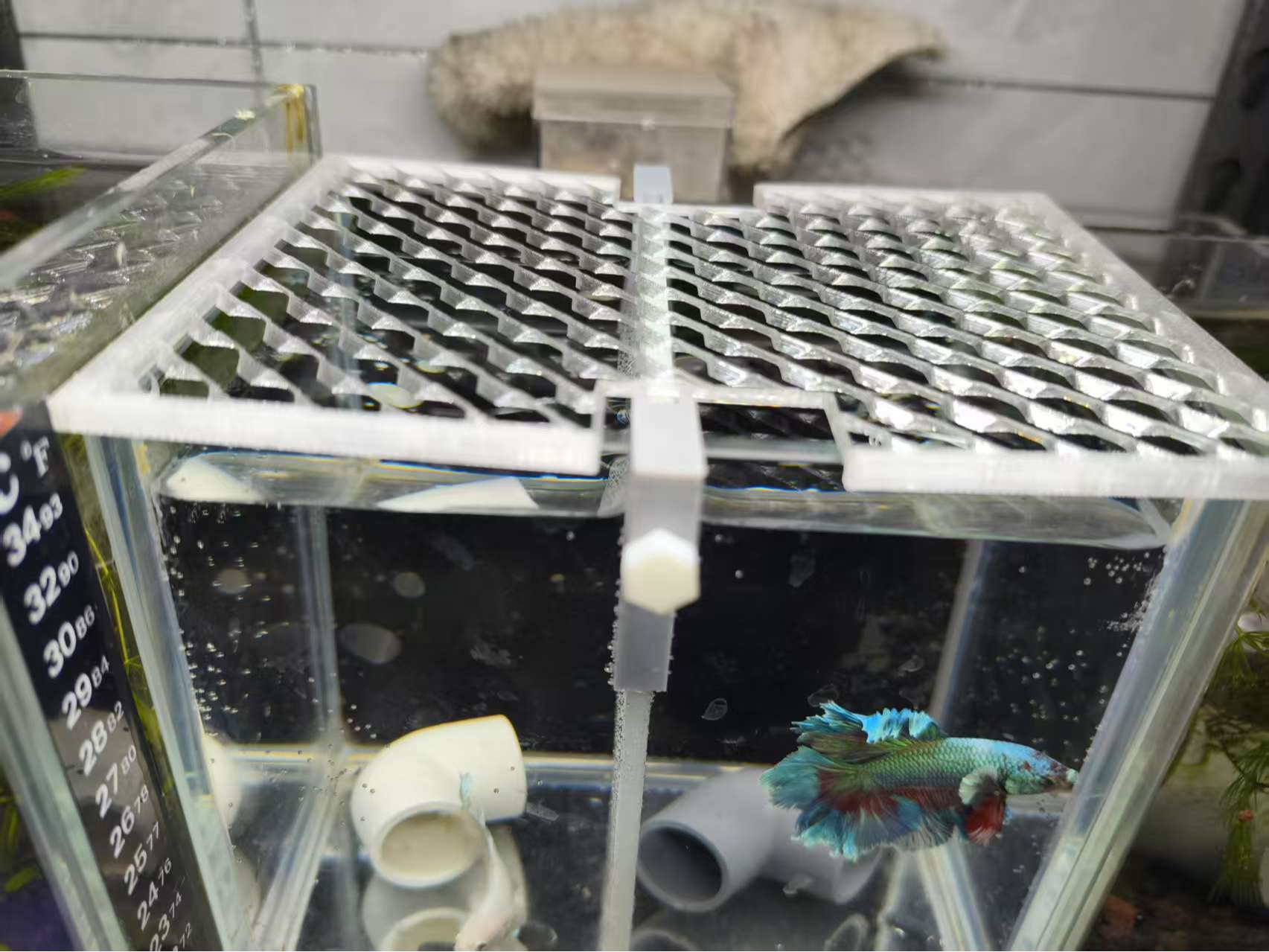 Betta fish tank divider + lid (suitable for small tanks of 150*110mm ...