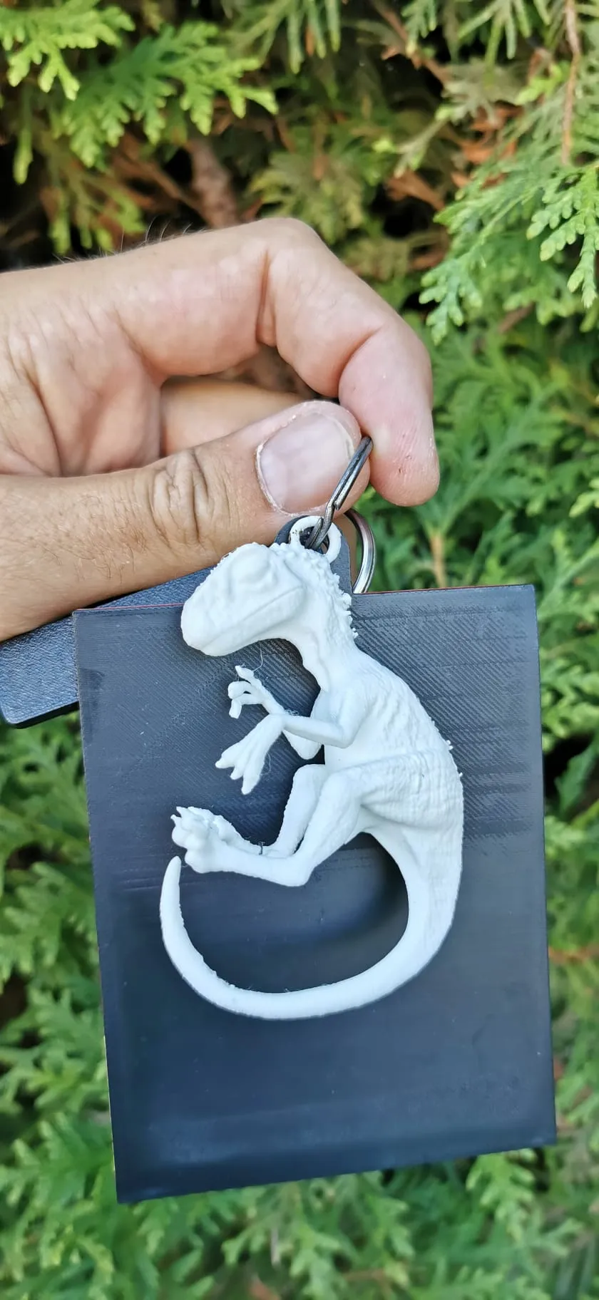 Dino Embryo Keychain - Free 3D Print Model - MakerWorld