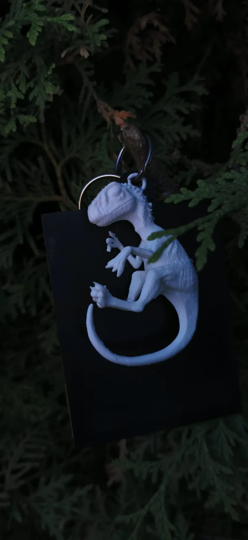 Dino Embryo Keychain - Free 3D Print Model - MakerWorld