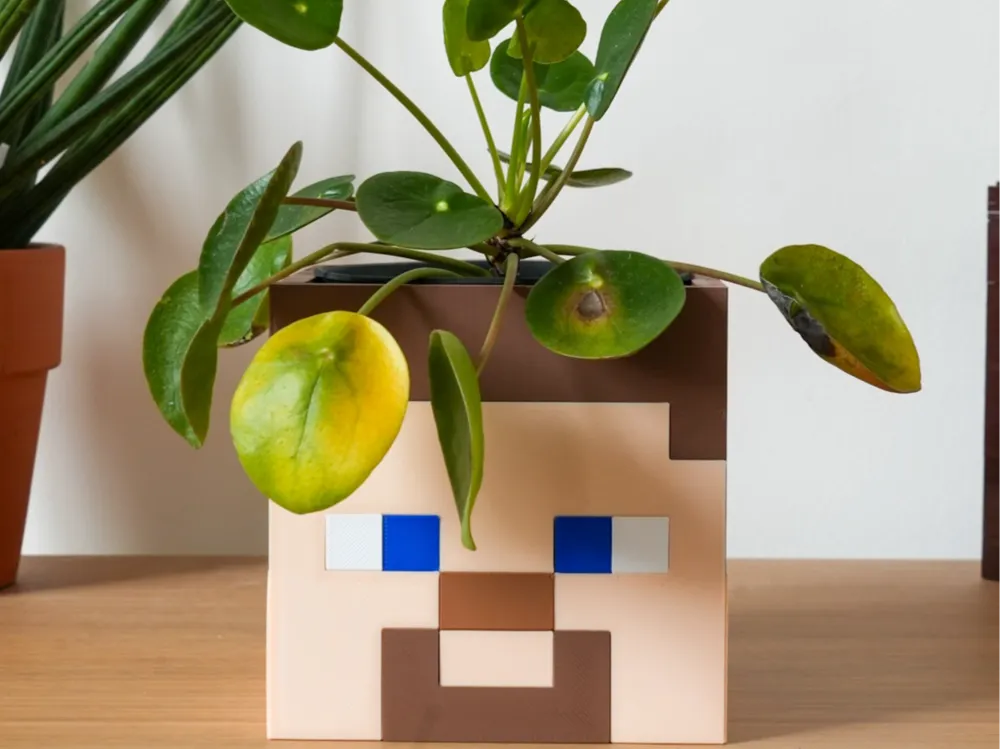 Minecraft Steve – Flower Pot / Vase - Free 3D Print Model - MakerWorld