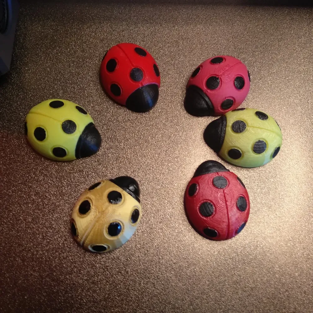 Ladybird / Ladybug Fridge Magnet by neddy990 - MakerWorld