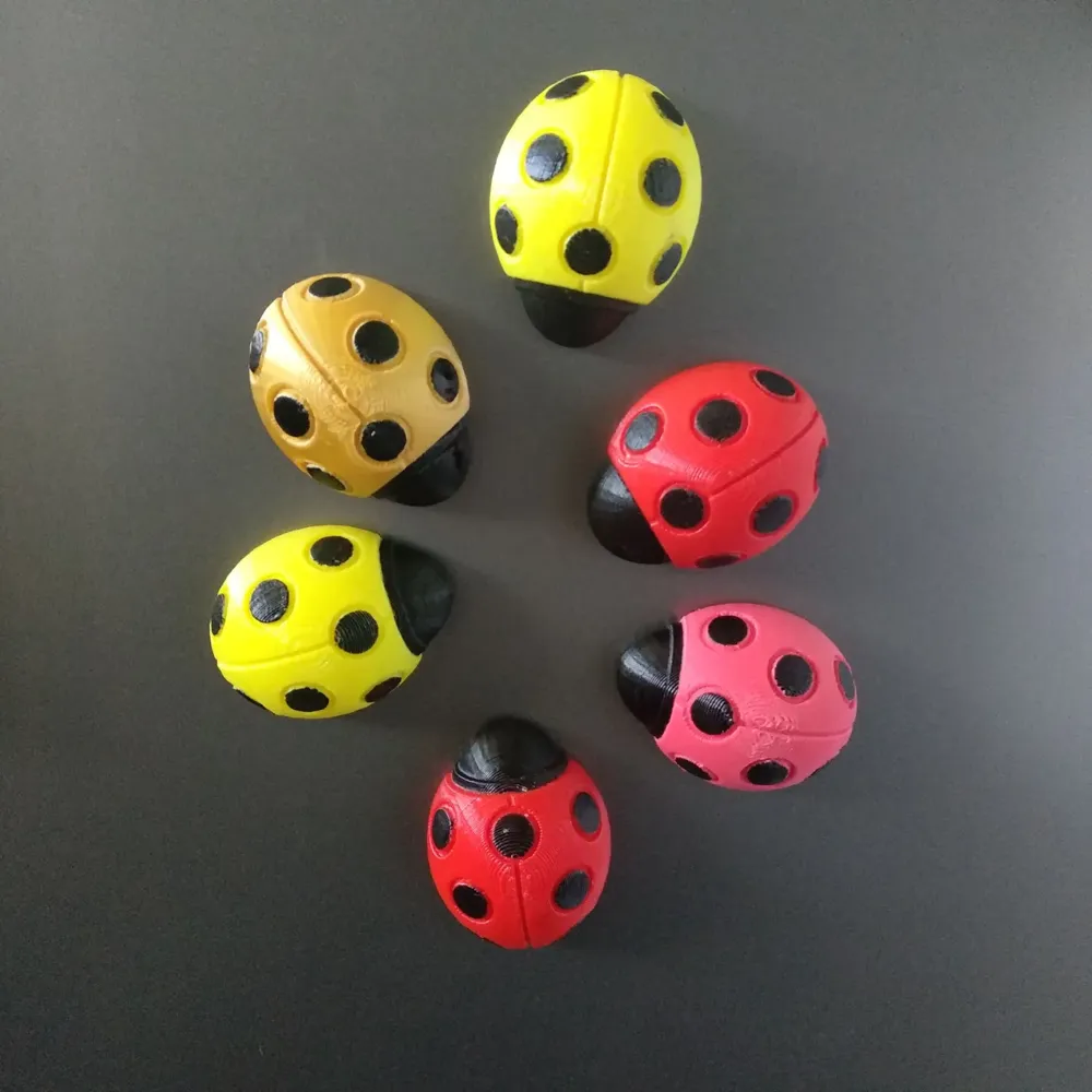 Ladybird / Ladybug Fridge Magnet by neddy990 - MakerWorld