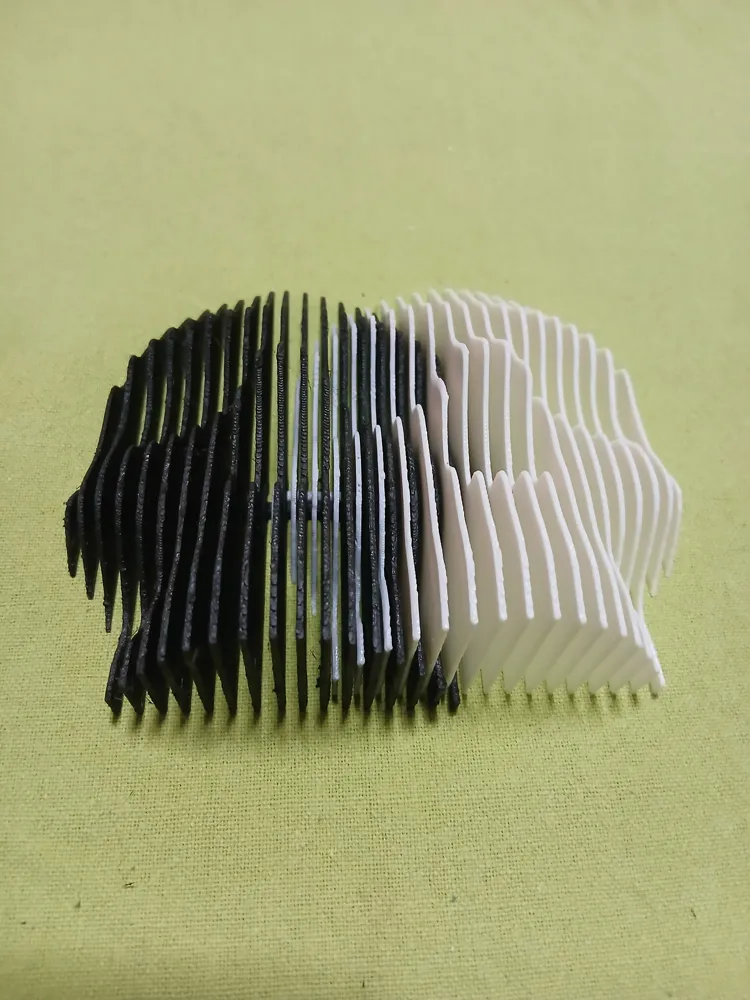 Quantum Skull See Through - Free 3D Print Model - MakerWorld