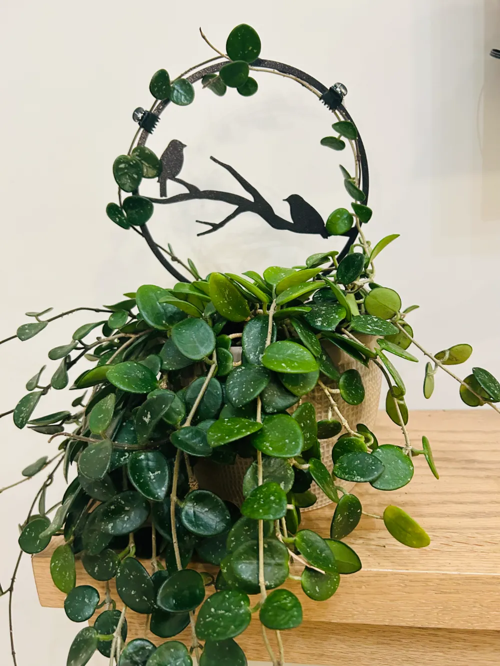 Bird Plant Trellis - Free 3D Print Model - MakerWorld
