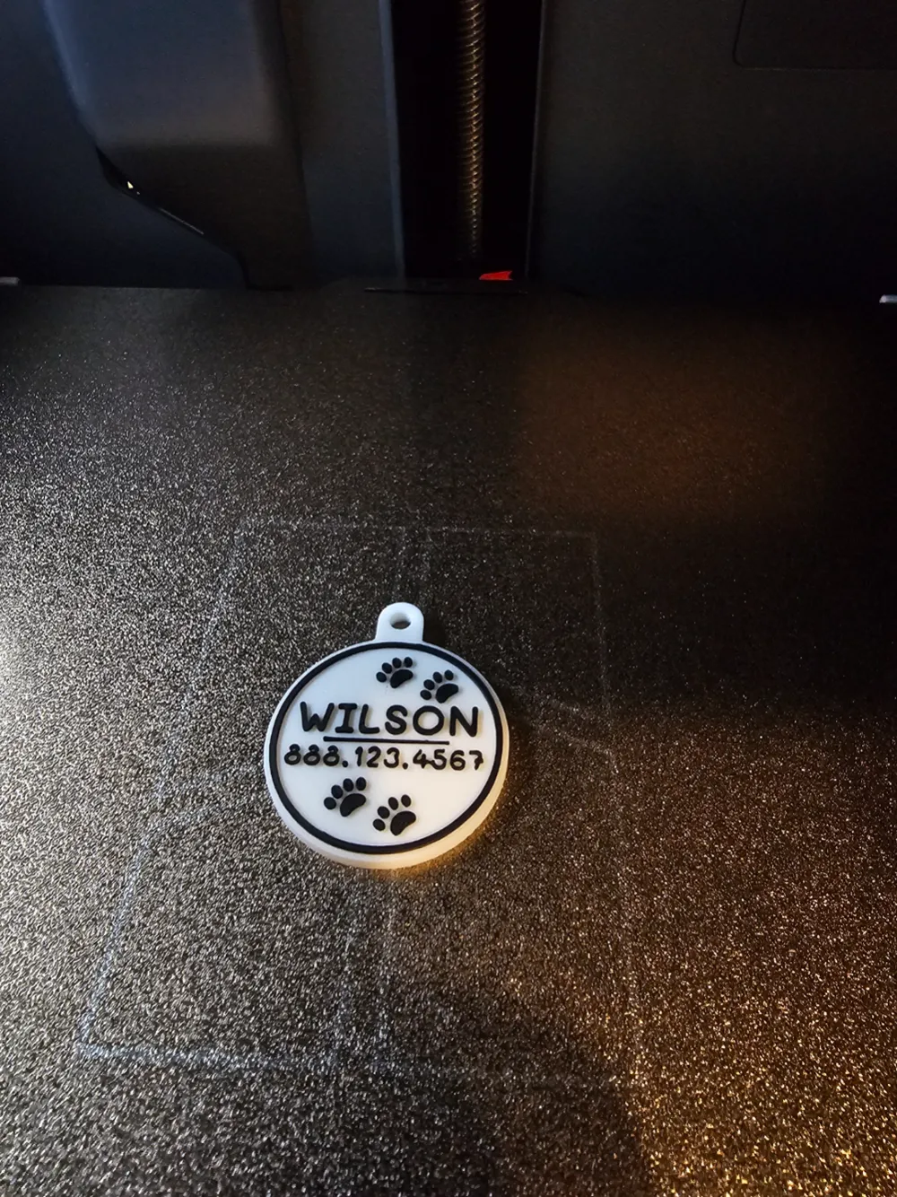 Pet Tag With Name And Phone - Free 3D Print Model - MakerWorld