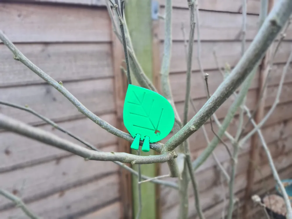 Leaf Bug By Rjadev Makerworld