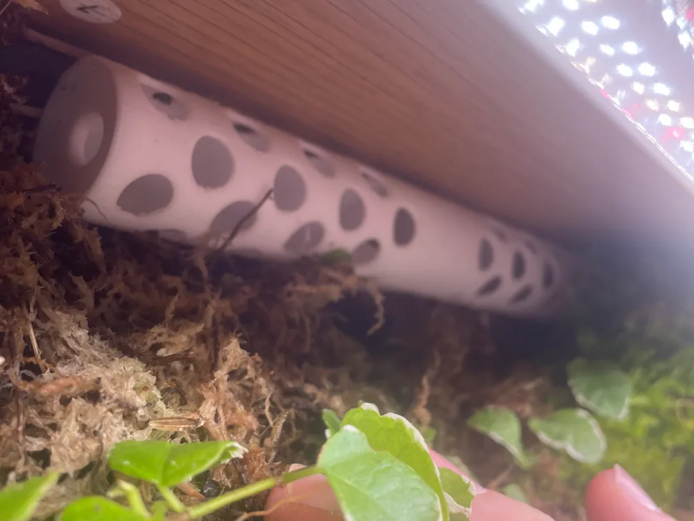 Mist Diffuser by BigBubatz MakerWorld: Download Free 3D Models