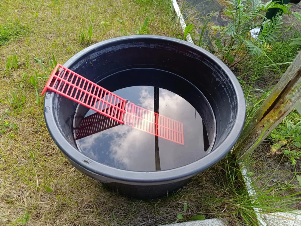 Small Animal & Bird Ladder – Feeder Ramp - Free 3D Print Model - MakerWorld