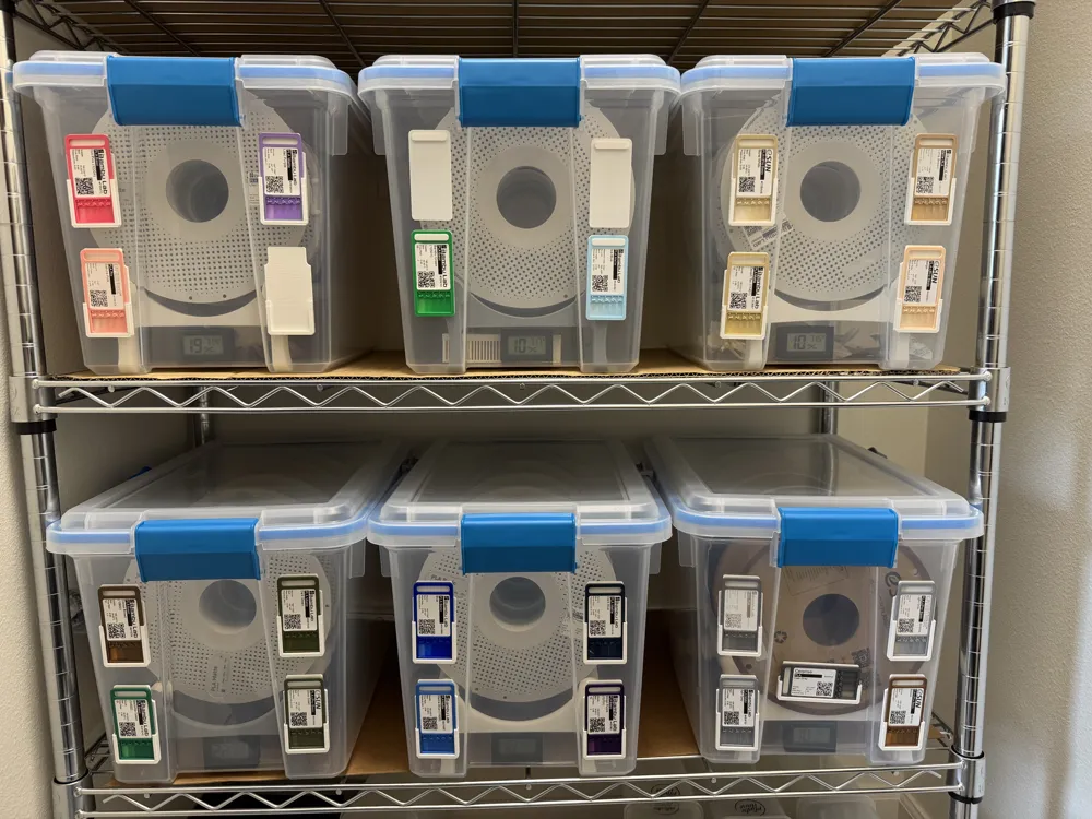 Filament Swatch System - Free 3D Print Model - MakerWorld